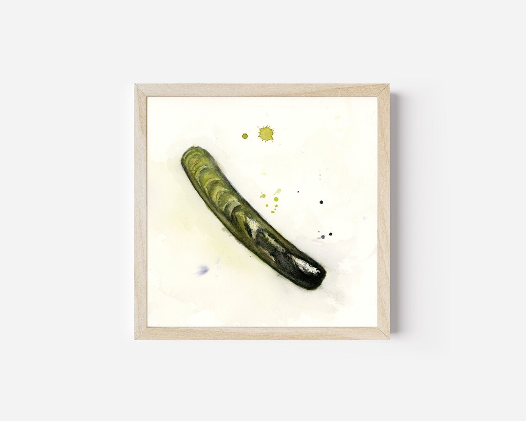 Atlantic Razor Clam Shell Watercolour Square Art Print - Etsy
