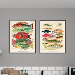 Vintage Kitchen Print- Fishes Illustration - Wall Decor - Etsy