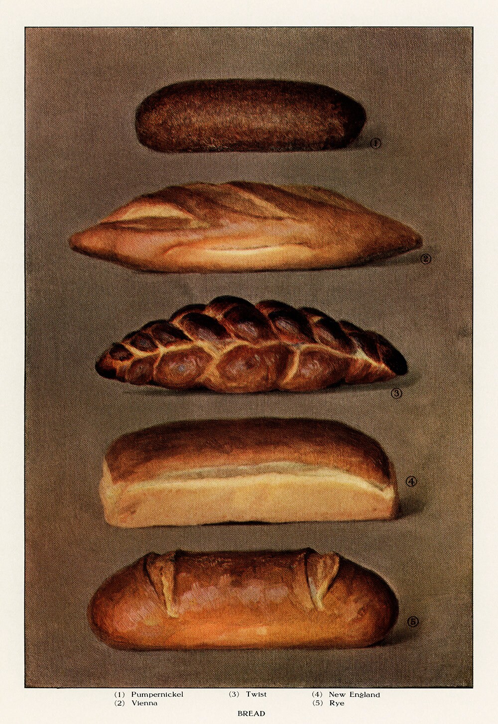 Kitchen Illustration Set Bread Prints canvas Poster Wall - Etsy