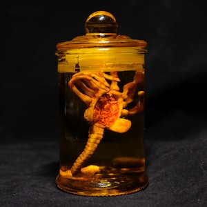 Alien Jar Xenomorph Specimen Facehugger Embryo Glass Jar Movie Prop ...