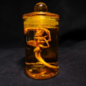 Alien Jar Xenomorph Specimen Facehugger Embryo Glass Jar Movie Prop ...