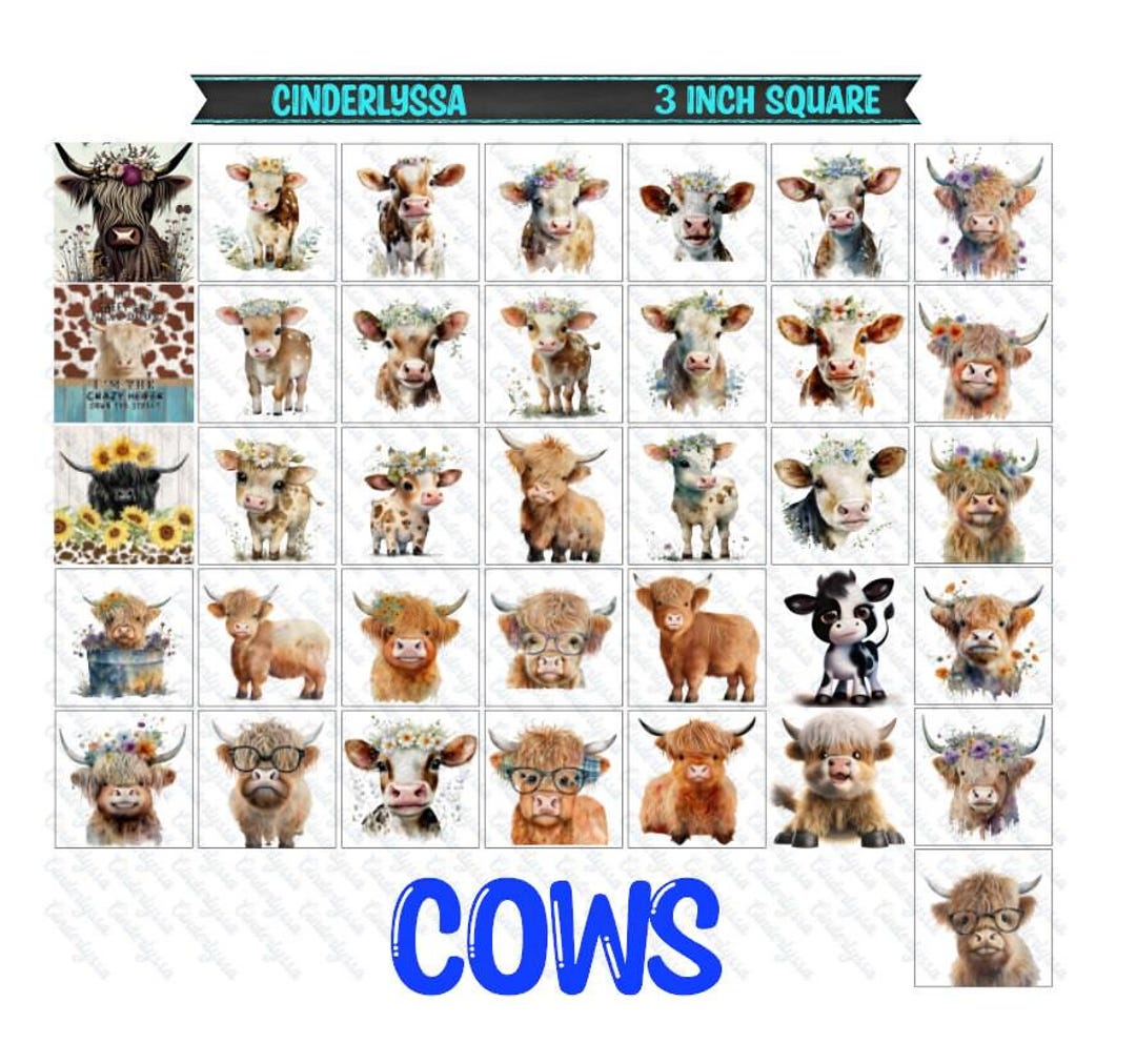 3 Inch Square: Cows Theme Cardstock/picture With Beveled Edge Cardstock ...