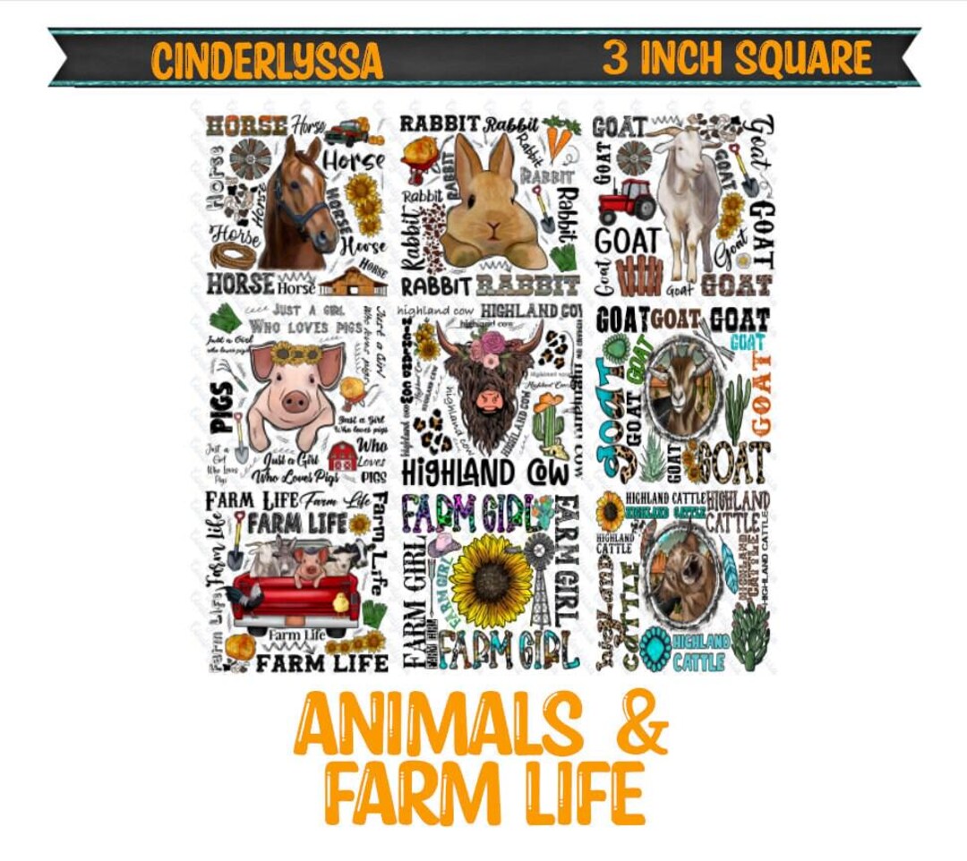 3 Inch Square: Animals & Farm Life Theme Cardstock/picture With Beveled ...