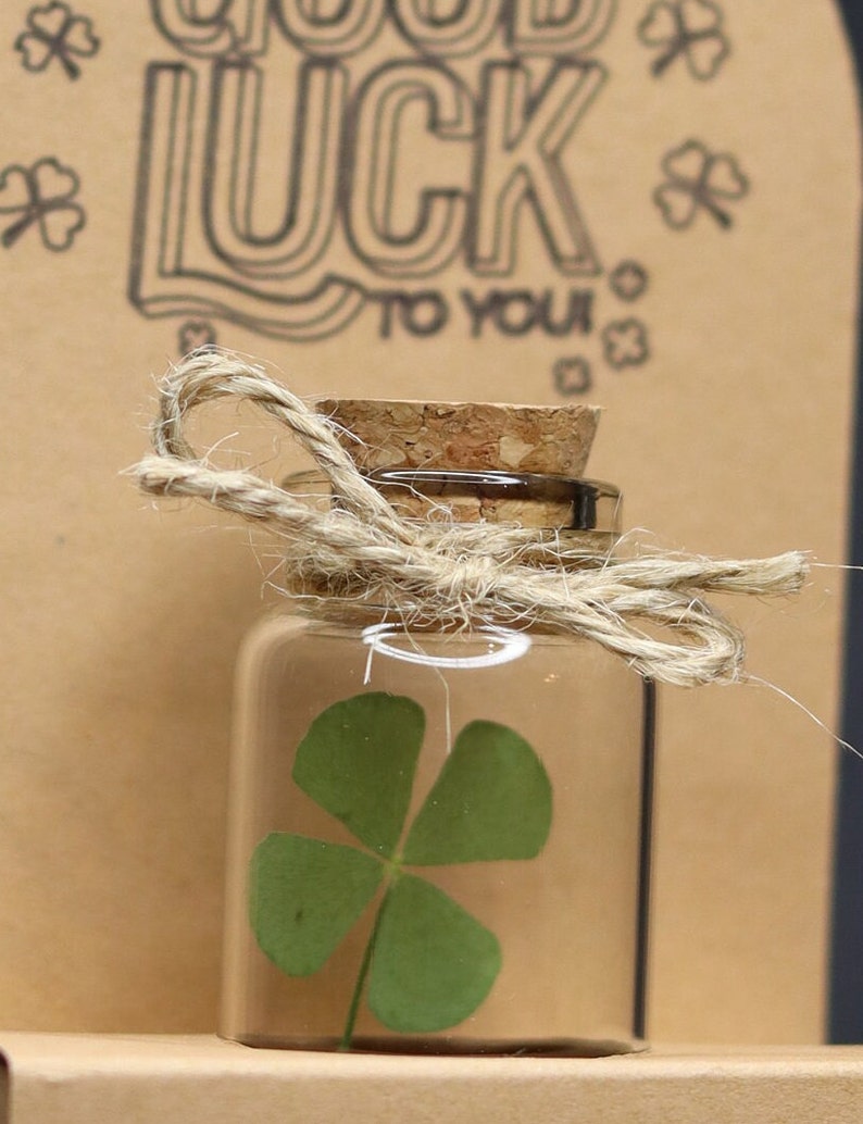 Lucky Charm - Good Luck - Real 4-leaf Clover in a Glass - With Display ...