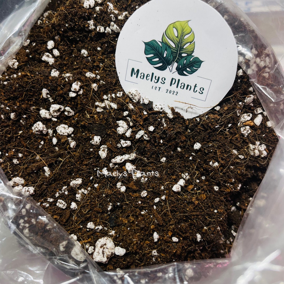 Coco Coir and Perlite Mix for Alocasia Aroids and Tropical Plants - US ...