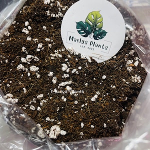 Coco Coir and Perlite Mix for Alocasia Aroids and Tropical Plants - US ...