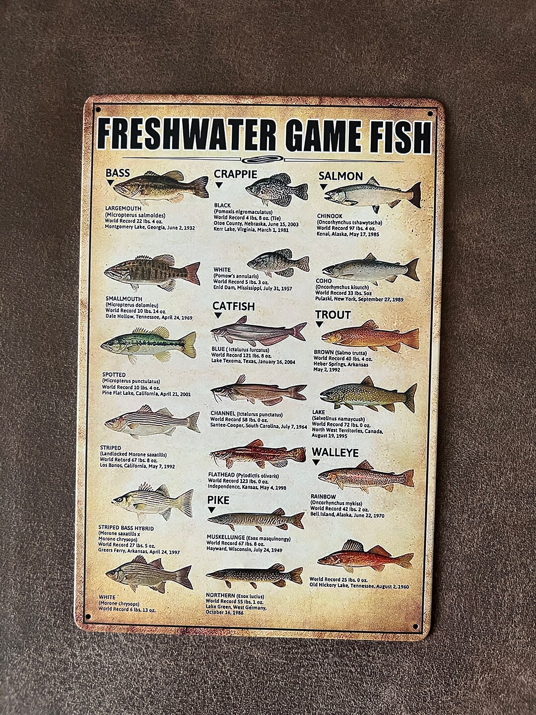 Freshwater Game Fish Tin Metal Sign Fish Names Wall Decor Garage Gifts ...