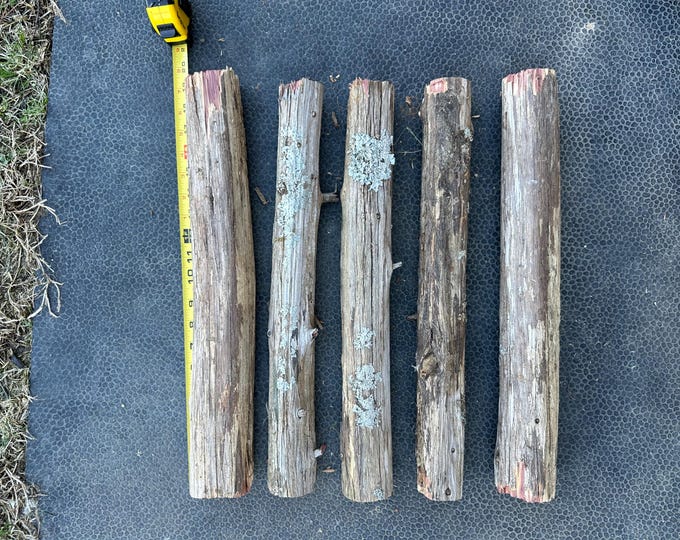 5 Cedar Logs, 19" Long, 1 1/2' - 2" Diameter, Firewood, Arts, Crafts ...