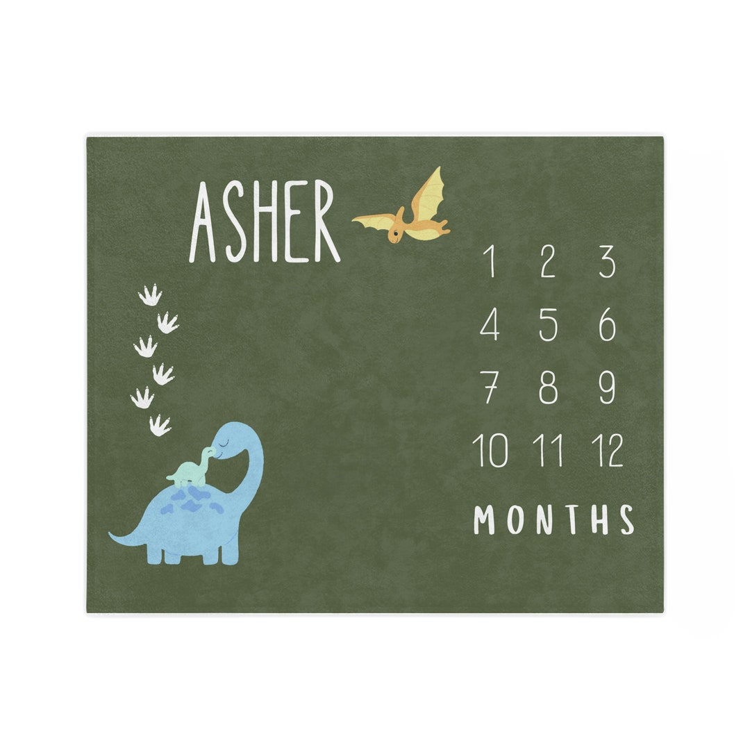 Dinosaur Custom Milestone Blanket, Personalized Monthly Picture Blanket ...