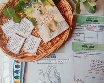 Because of Winn-dixie Novel Study Unit | Literature Guide ...