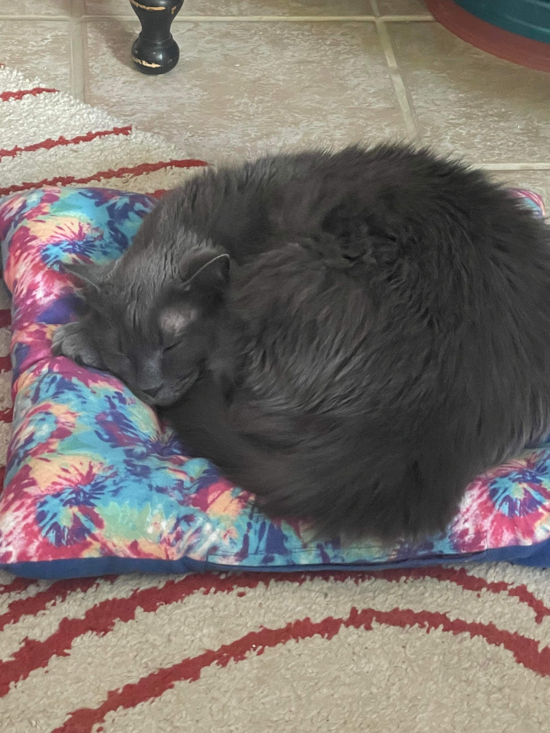 The BETTER Cat Bed With Catnip Pouch - Etsy