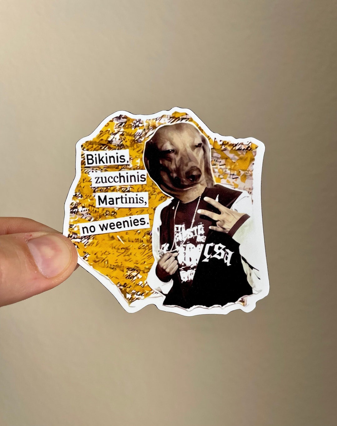 Rap Fridge Magnet - Funny Gifts - Dog Magnet - Magnets for Fridge ...