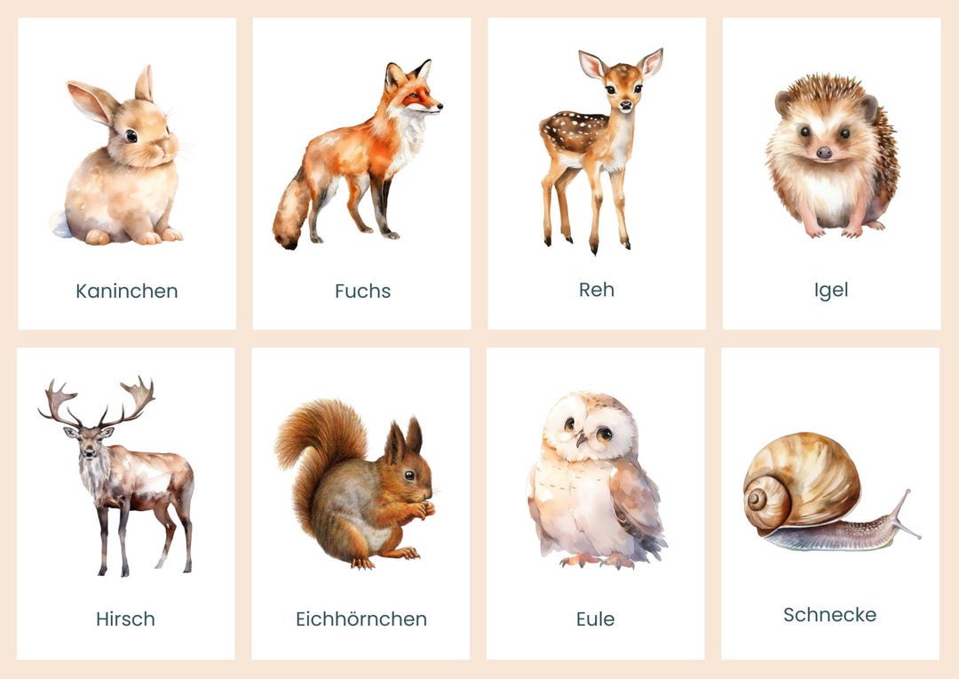 Forest Animals | Montessori Flashcards for Children | Digital Download ...