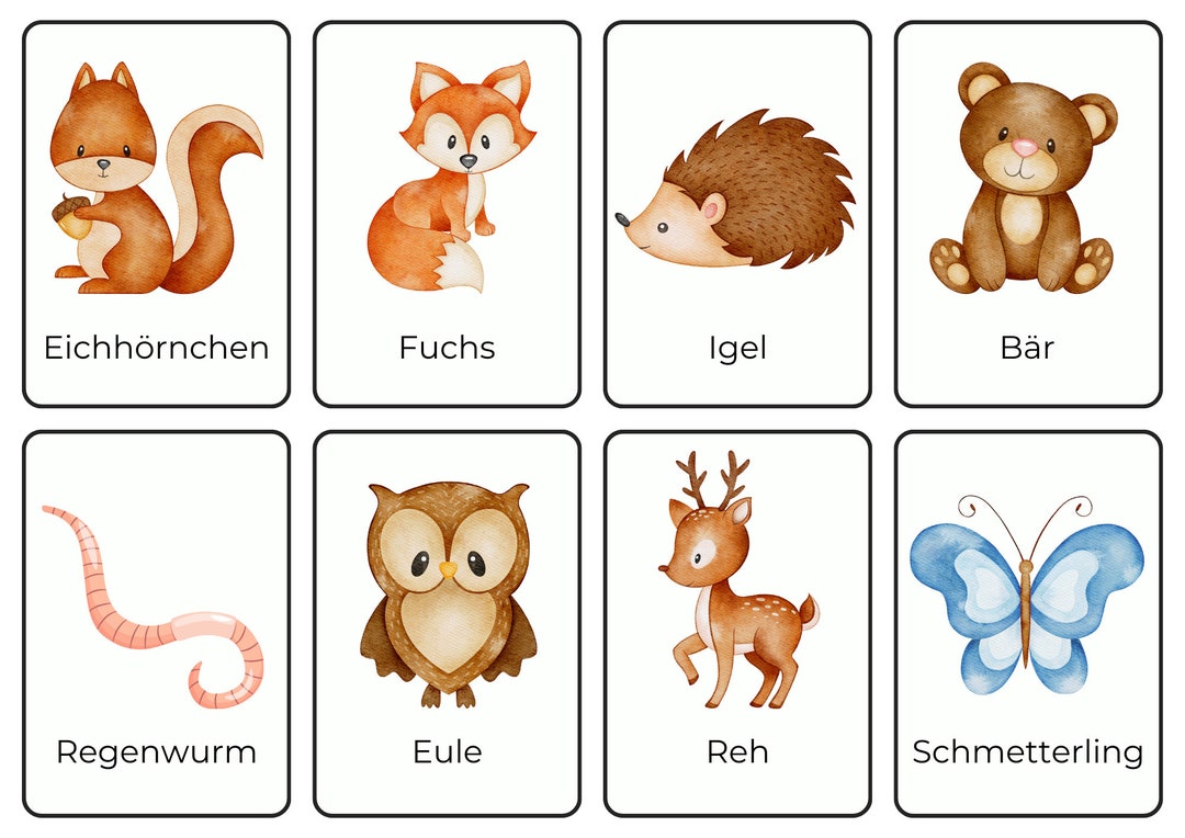 Montessori Flashcards for Children Animals Theme Forest - Etsy