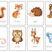 Montessori Flashcards for Children Animals Theme Forest - Etsy