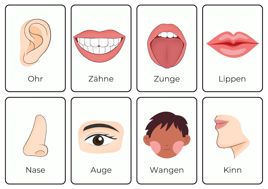 Body and Organs | Montessori Flashcards for Children | Digital Download ...