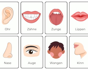 Human Organs Learning Activity With Flashcards and Body Facts - Etsy