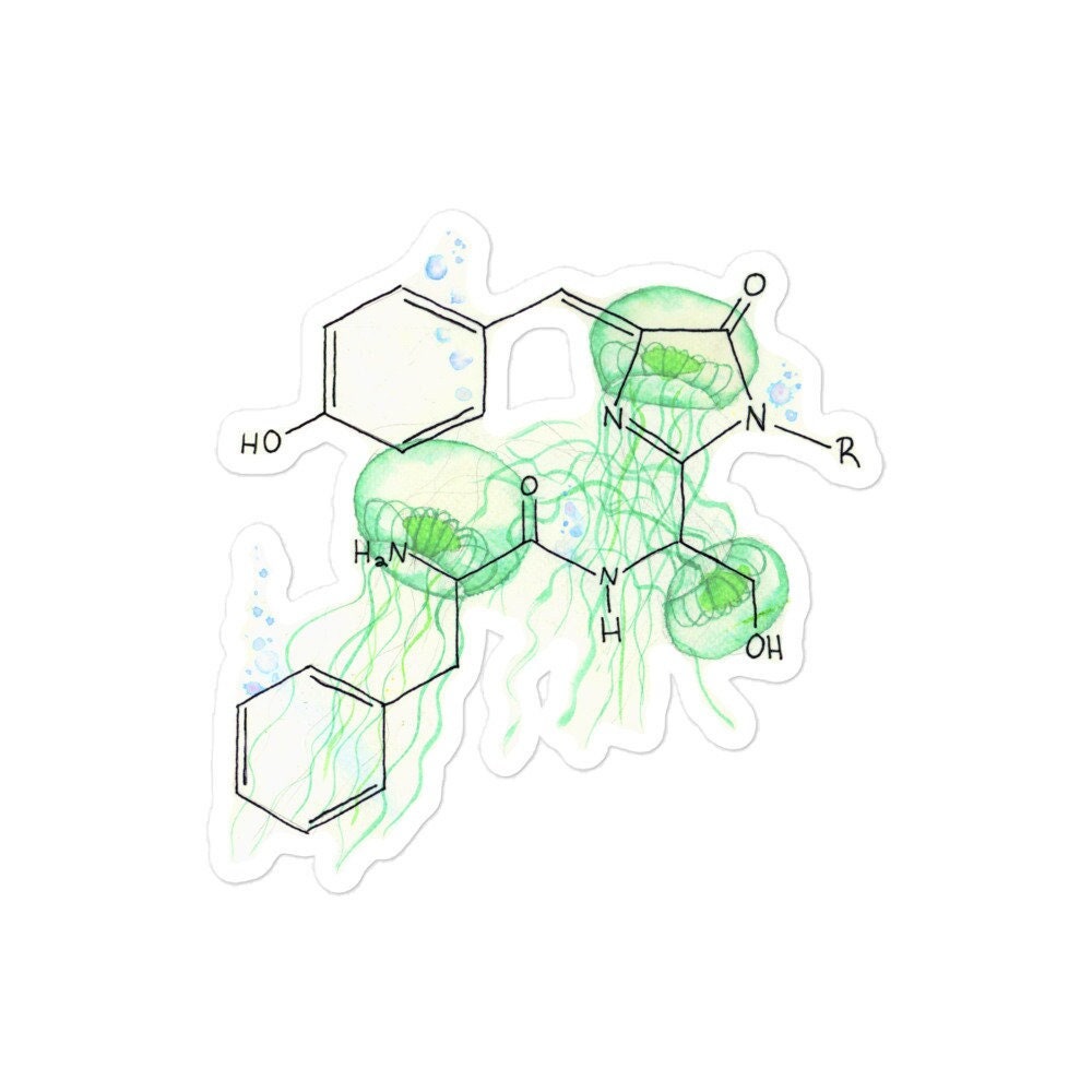 GFP proteína fluorescente verde estructura química cromóforo - Etsy España
