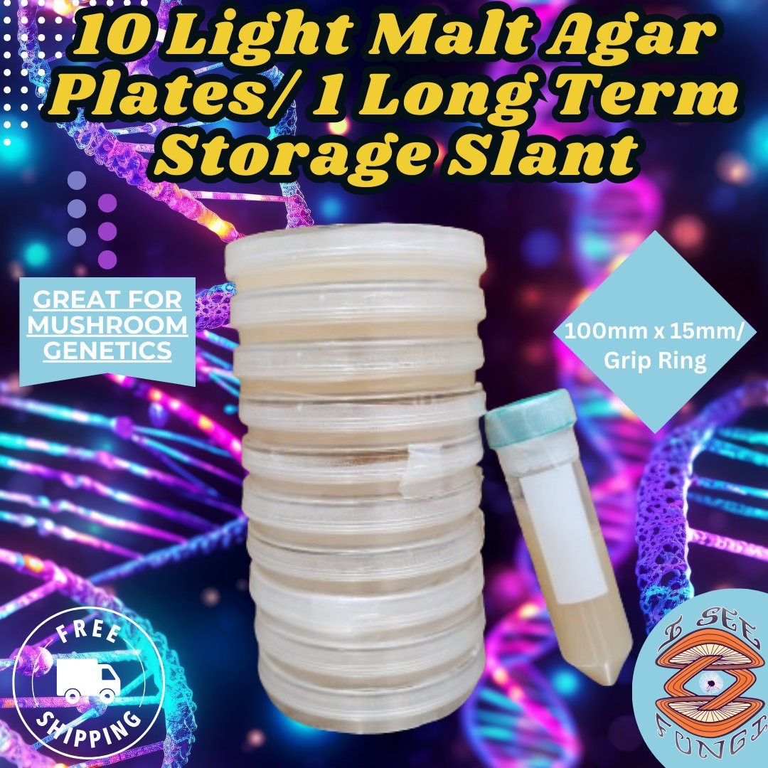 Agar Petri Dishes X10 1 Long-term Storage Slant for Mushrooms. Mycology ...