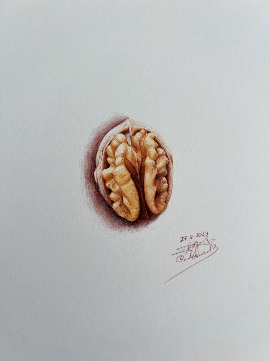 Realistic Walnut Original Drawing Ballpoint Pen Illustration Decoration ...