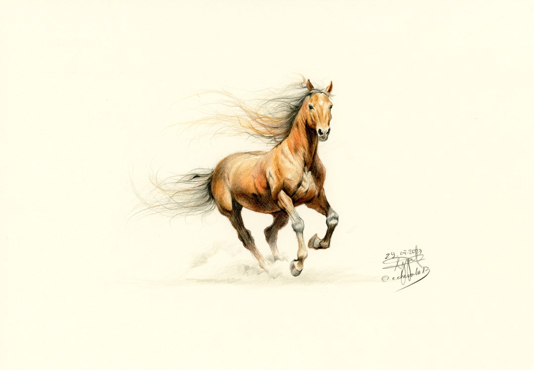 Dibujo de caballo Dibujo ORIGINAL Arte a lápiz boceto - Etsy España