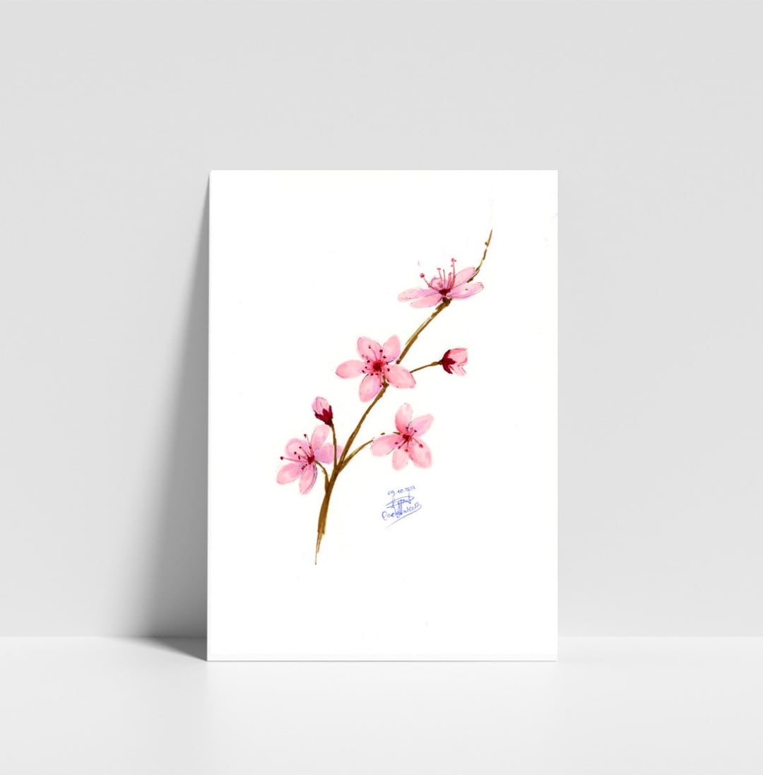 Sakura Flower - Pencil Drawing - PRINT - Etsy