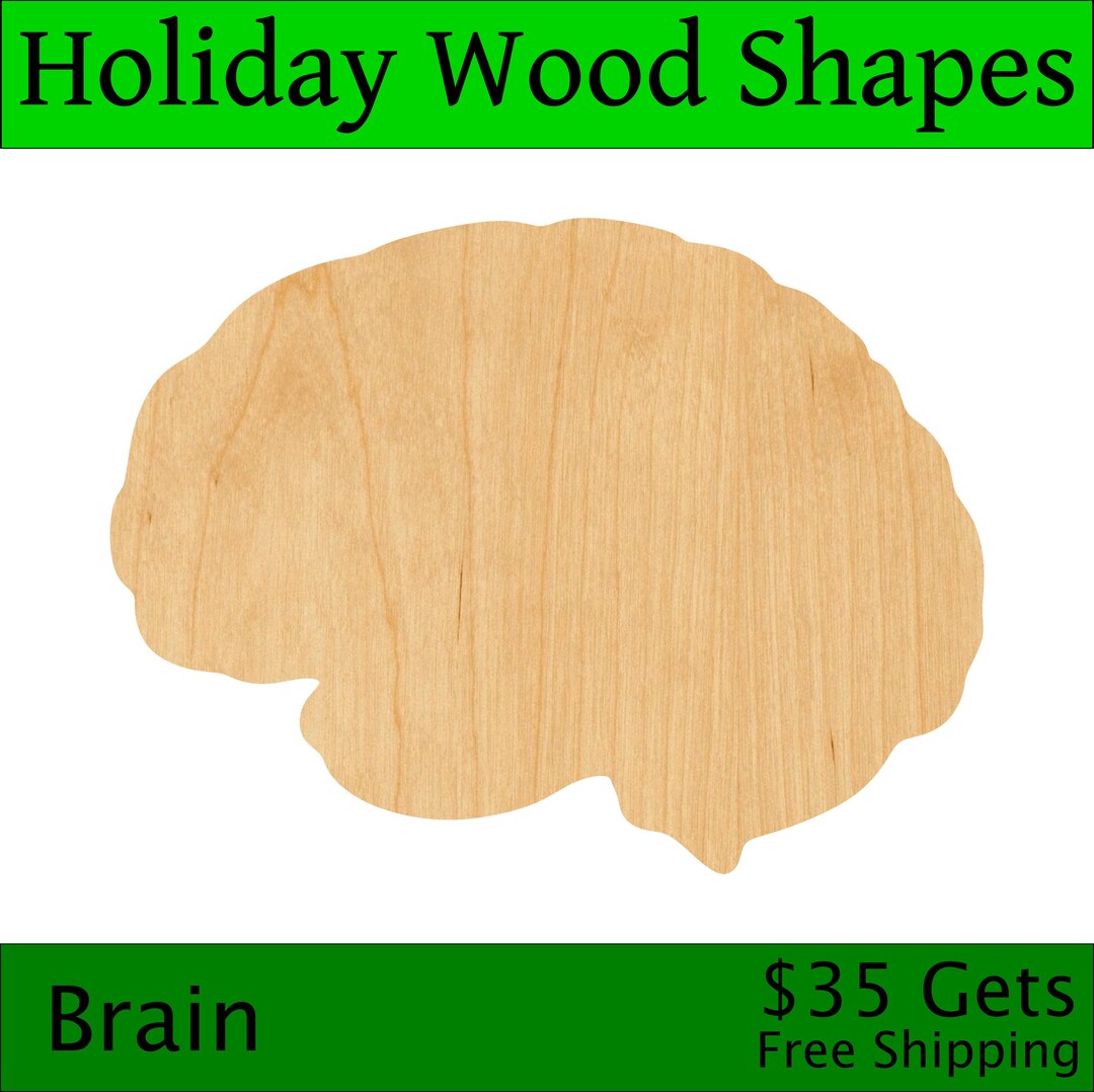 Laser Cut Brain Wood Blank, Crafting Supplies, Wooden Cutout, DIY ...