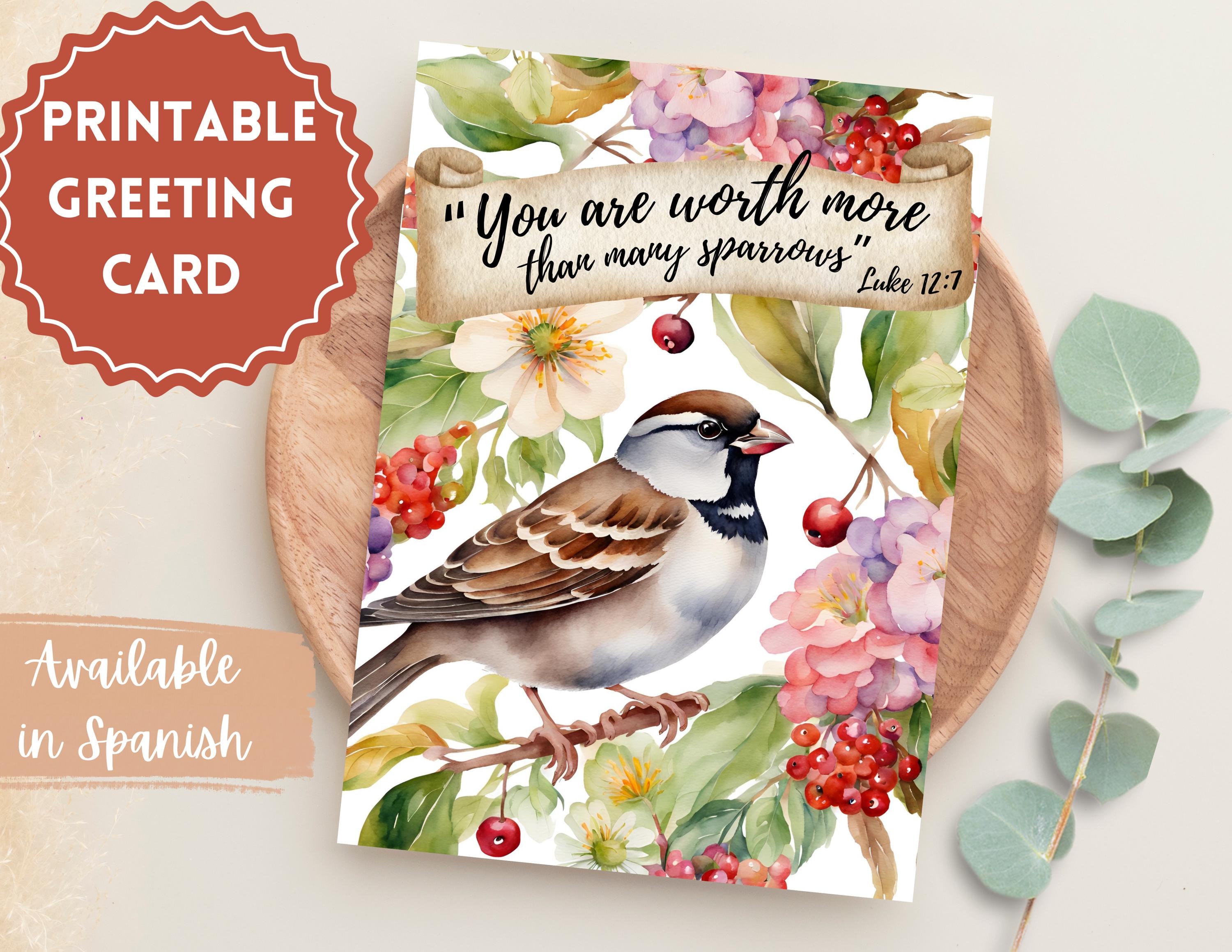 JW Encouragement Card| Printable - Etsy