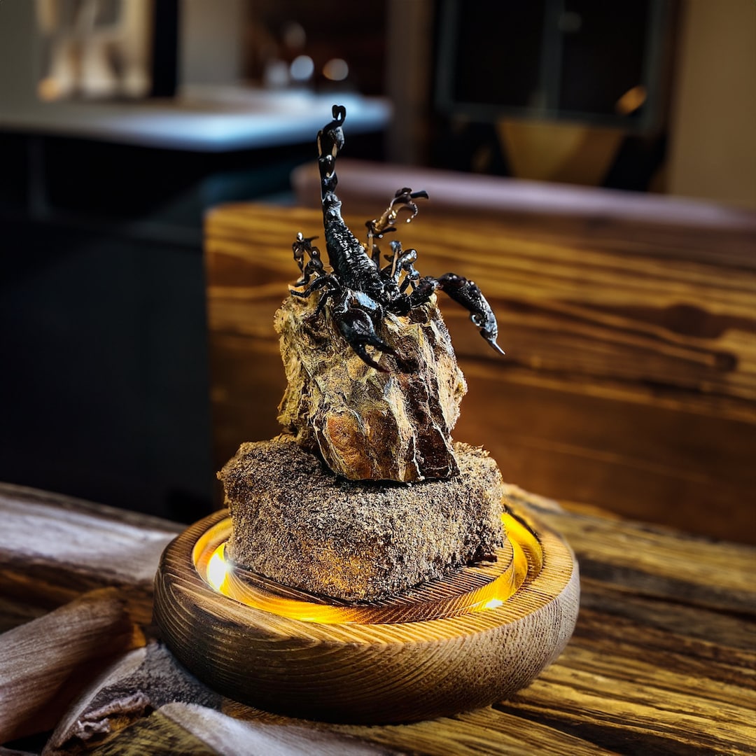 Scorpion on the Rock Entomology Art Specimen Christmas Scorpion ...