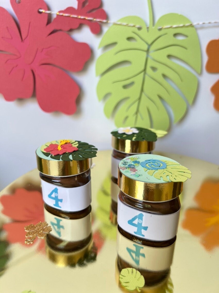 Moana Party Favor, Moana Birthday Theme, Moana Birthday Party, Moana ...