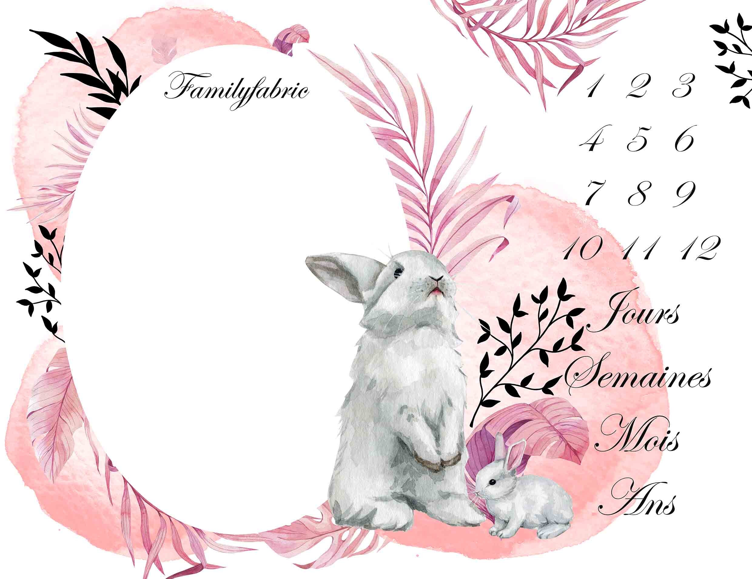 Rabbit Evolution