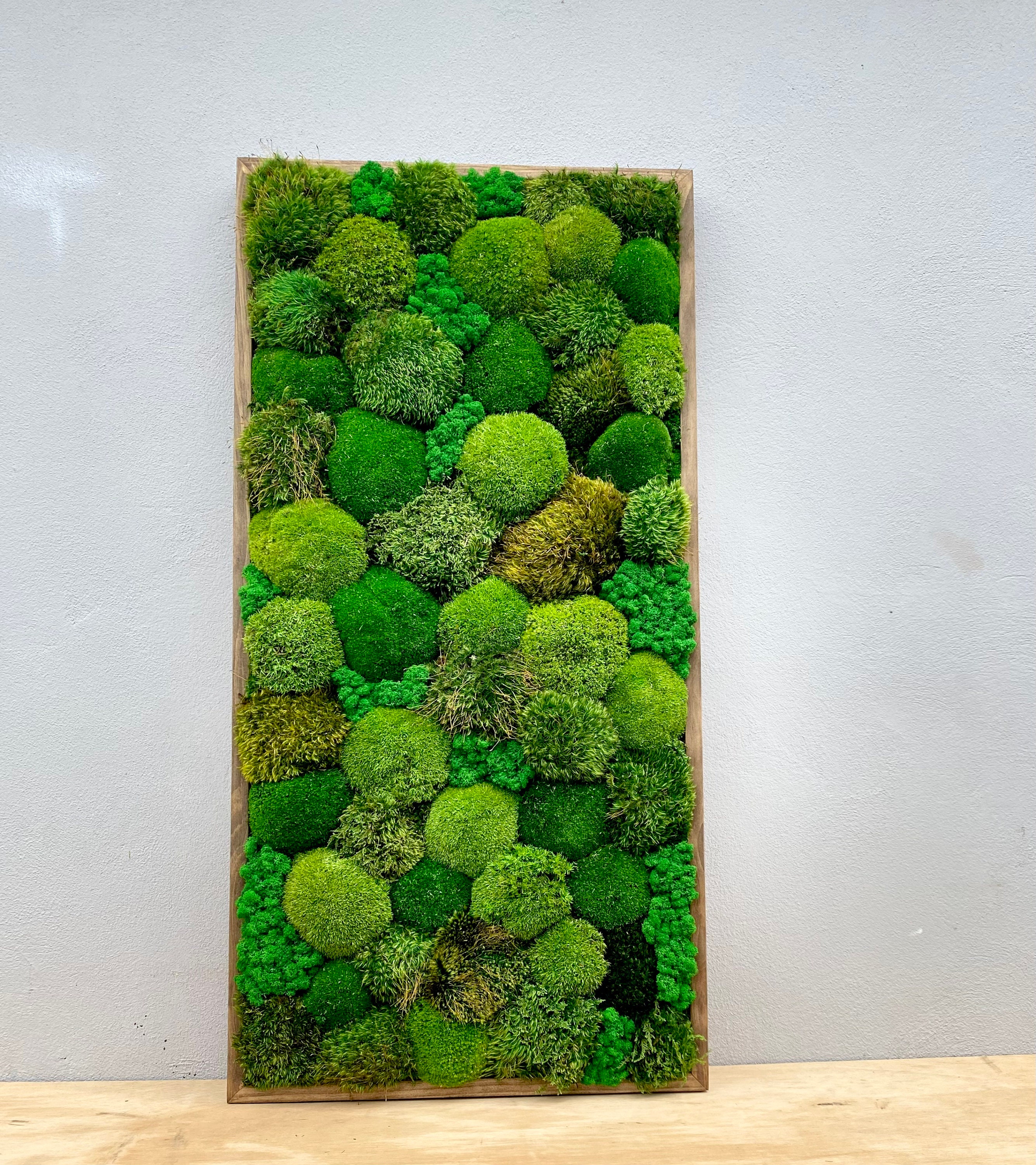 Moss Art. Moss Wall Art. Moss Painting. Botanical Art. Planted Wall ...