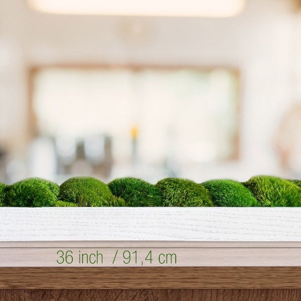 Preserved Moss - Etsy