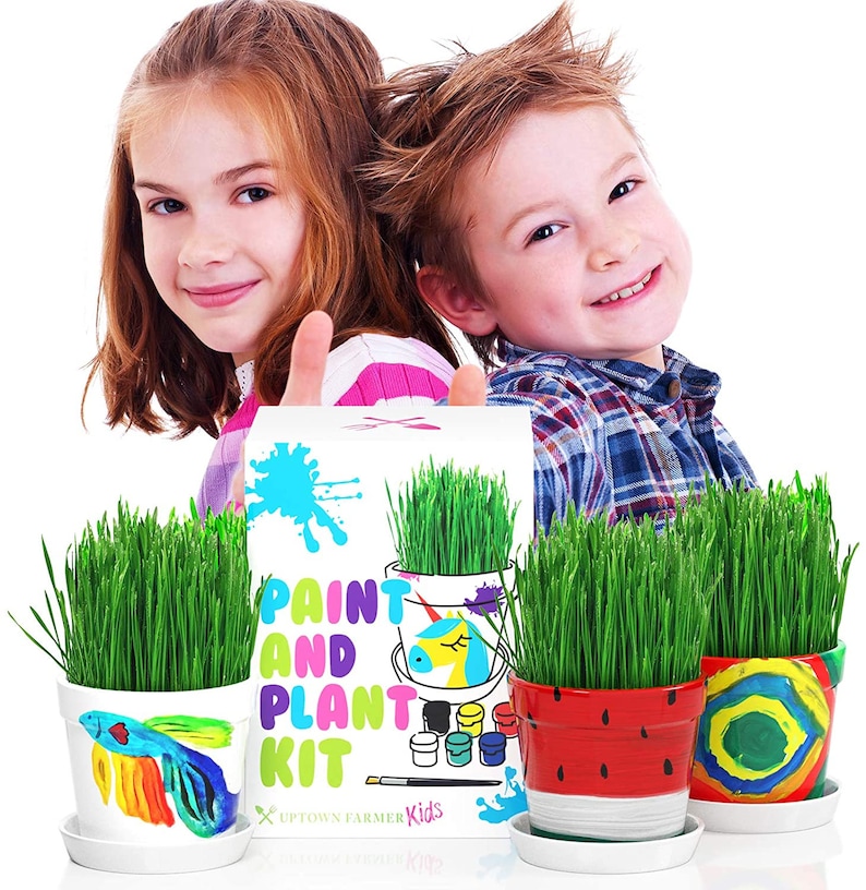 Paint and Plant Kids Gardening Set - Kids Gardening Kit - Art and Craft ...