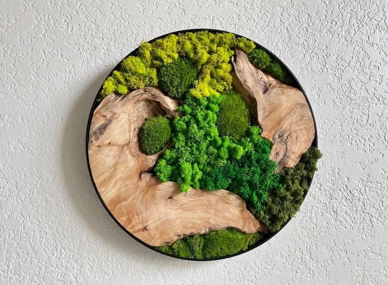 Círculo de arte de pared de musgo conservado de 2 pies y 24 pulgadas ...