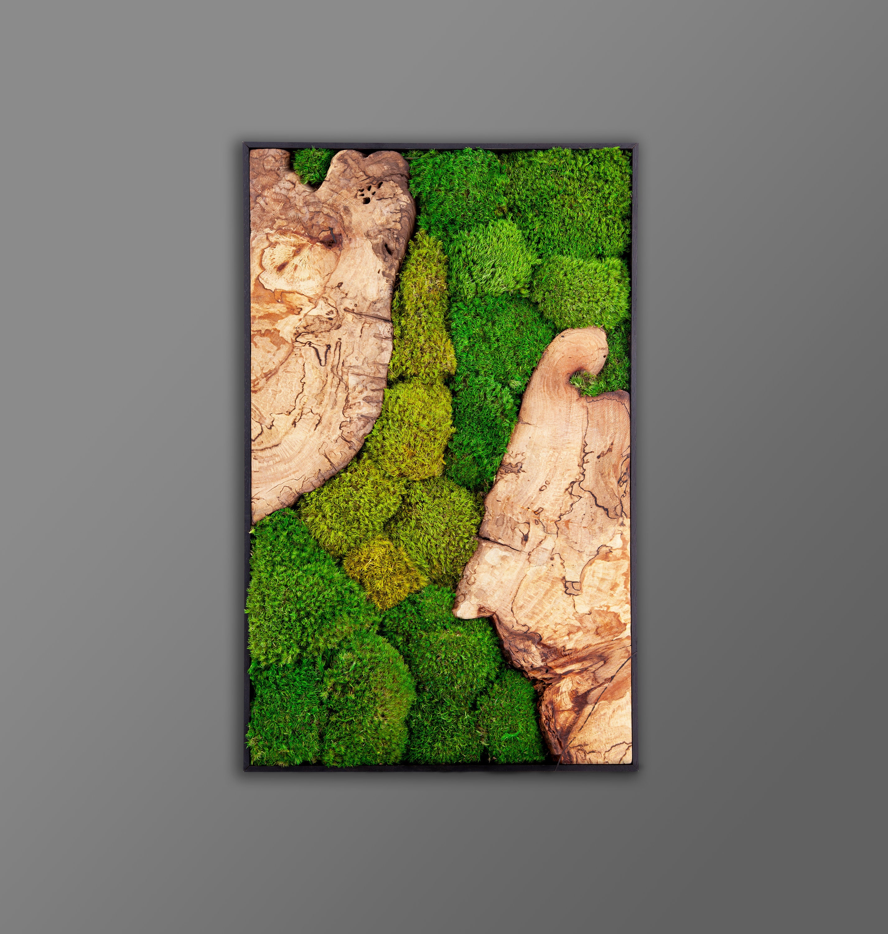 11 * 19” Preserved Natural Moss Wood Wall Wart. Unique Home Decor ...