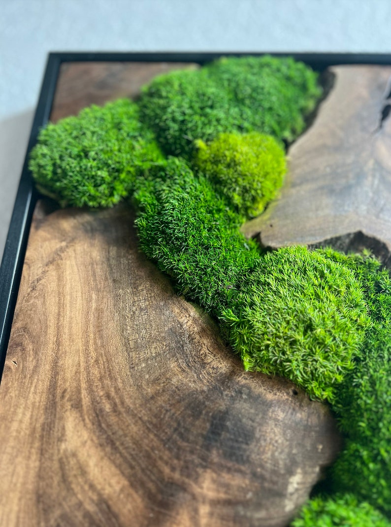 Moss on Wood Wall Art, Preserved Moss Art, 10x15” Handcrafted Original ...