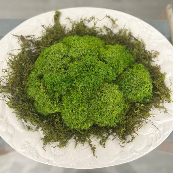 Moss Table Art Centerpiece - Etsy