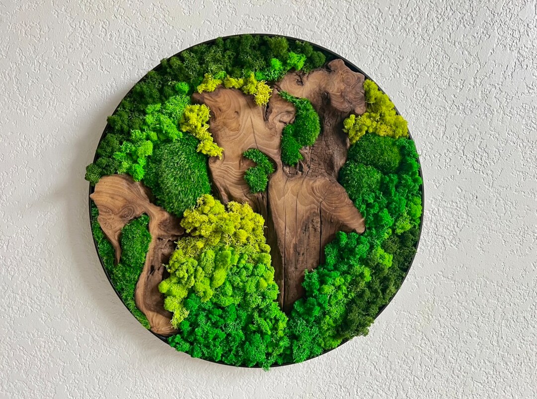 Círculo de arte de pared de musgo conservado de 2 pies y 24 pulgadas ...