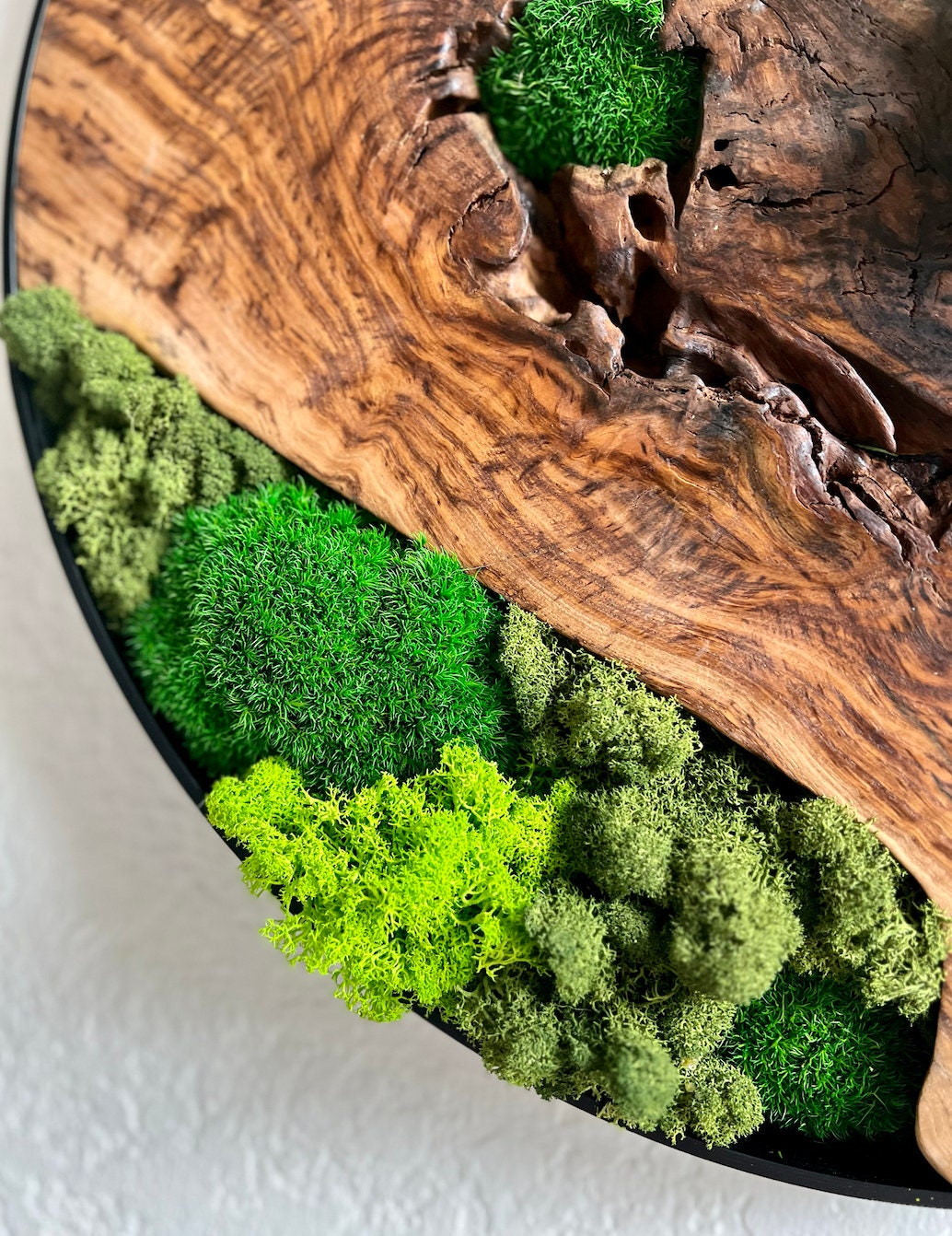 18” Preserved Moss Wall Art Circle, Rounded Framed Moss With Wood ...