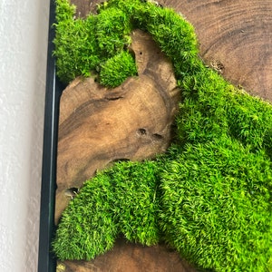 Moss on Wood Wall Art, Preserved Moss Art, 10x15” Handcrafted Original ...