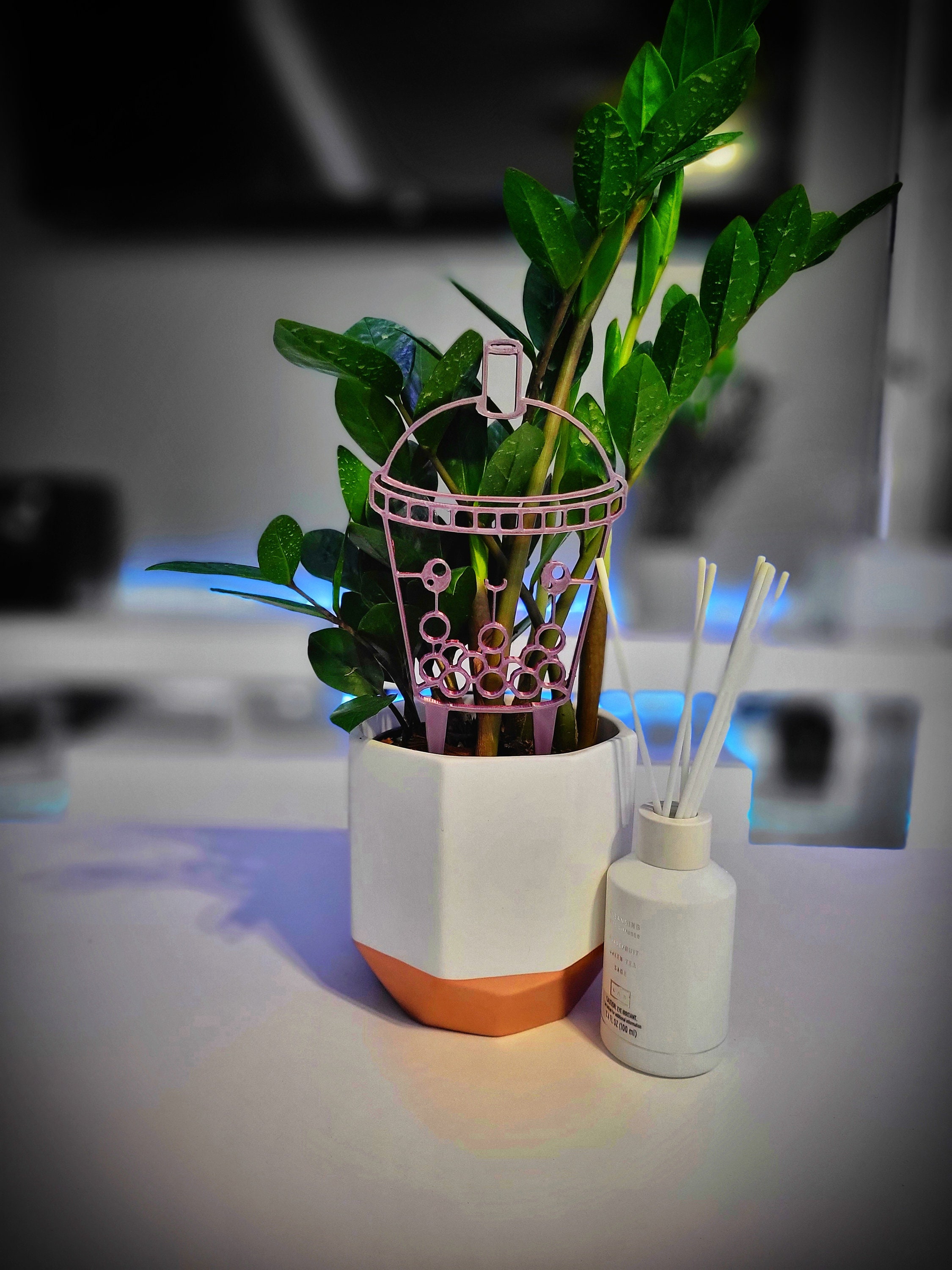 Boba Tea Plant Trellis / Pick for House Plant 3D Printed Silk Purple - Etsy