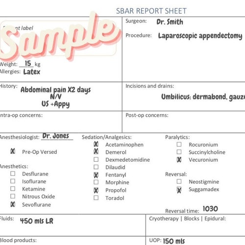 Multi-patient Report Sheet - Etsy