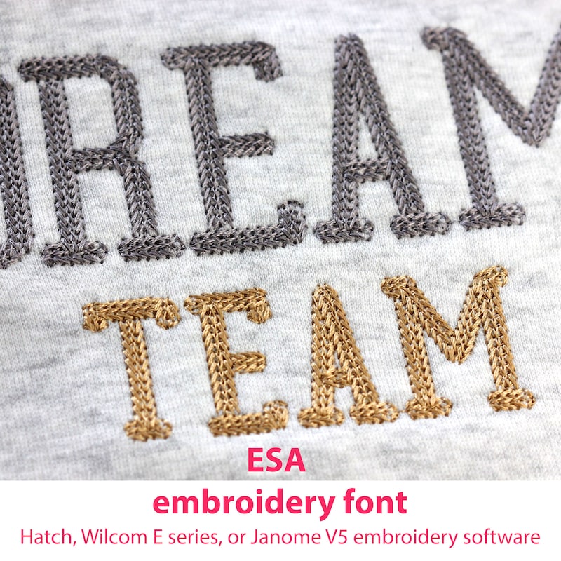 Esa Font File - Etsy