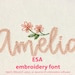 ESA Font Dense Chain Script Font for Machine Embroidery Alphabet 3 ...