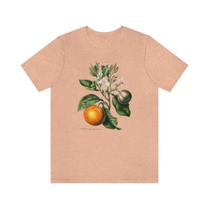 Bitter Orange Shirt, Vintage Orange Tshirt, Citrus Blossom Botanical ...