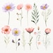 Wildflowers Clipart, Watercolor Boho Flowers, Wild Flower Painting ...