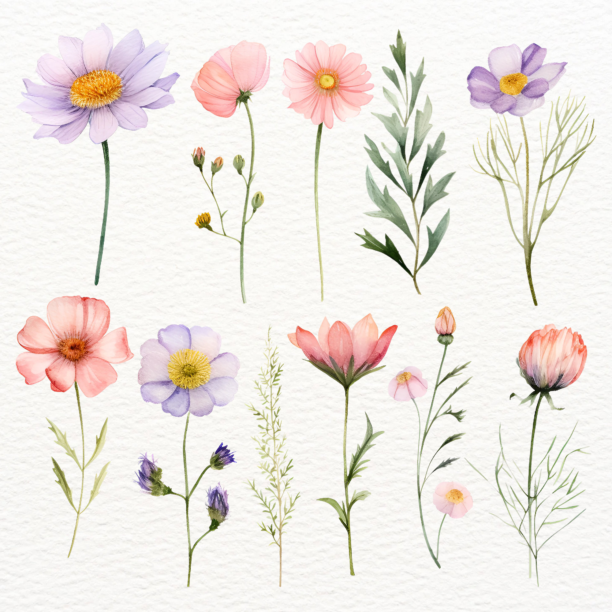 Wildflowers Clipart, Watercolor Boho Flowers, Wild Flower Painting ...
