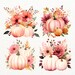 Pink Boho Pumpkin Watercolor Clipart: Floral Autumn PNG (commercial Use ...