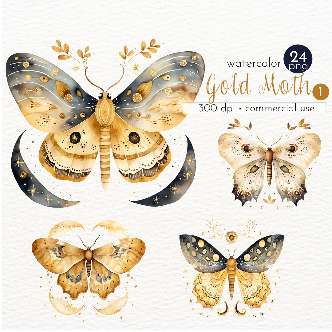 Gold Moth and Moon Clipart, Watercolor Insects, Painted Moths, Rustic ...